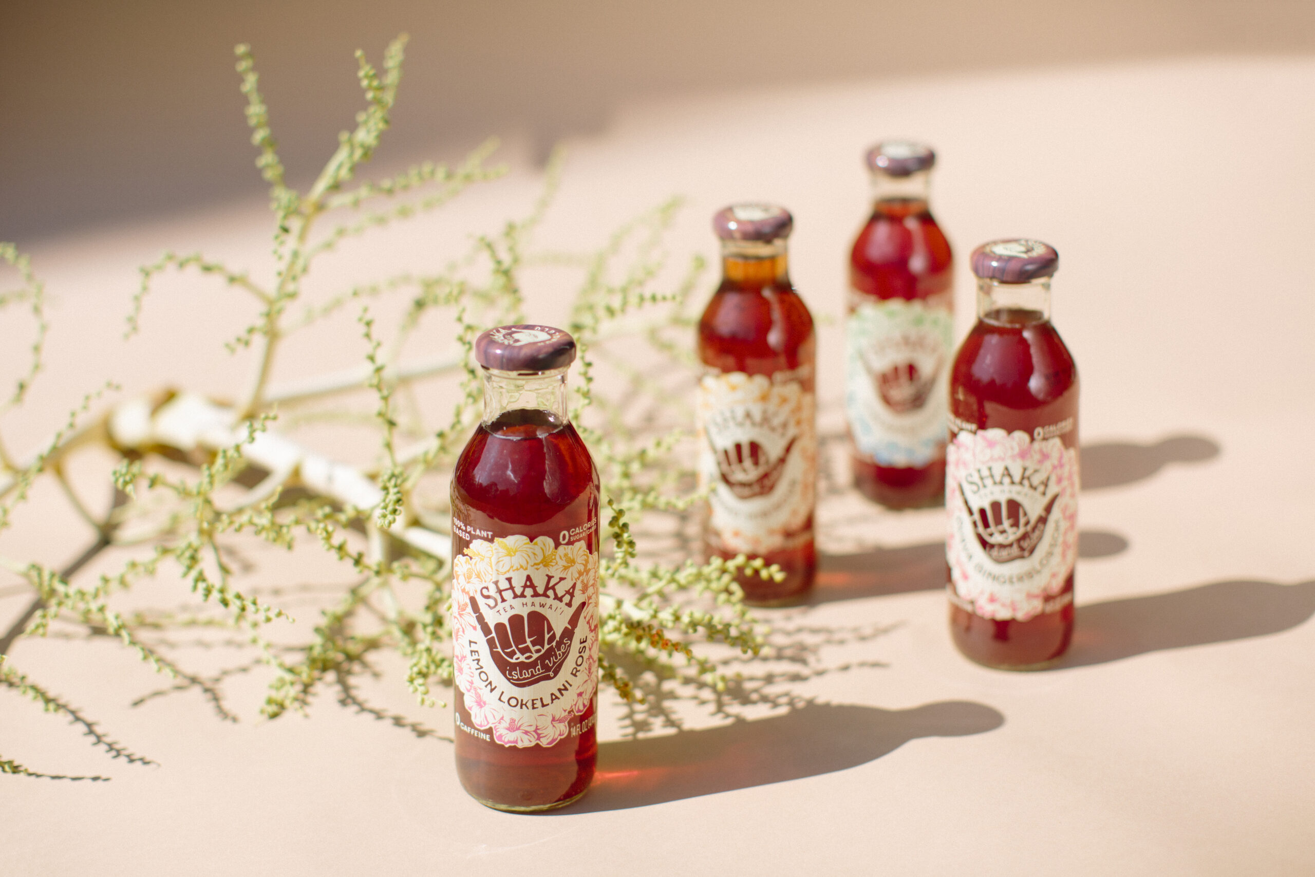 Experience Island Vibes with Shaka Tea - Multi-Color Corporation